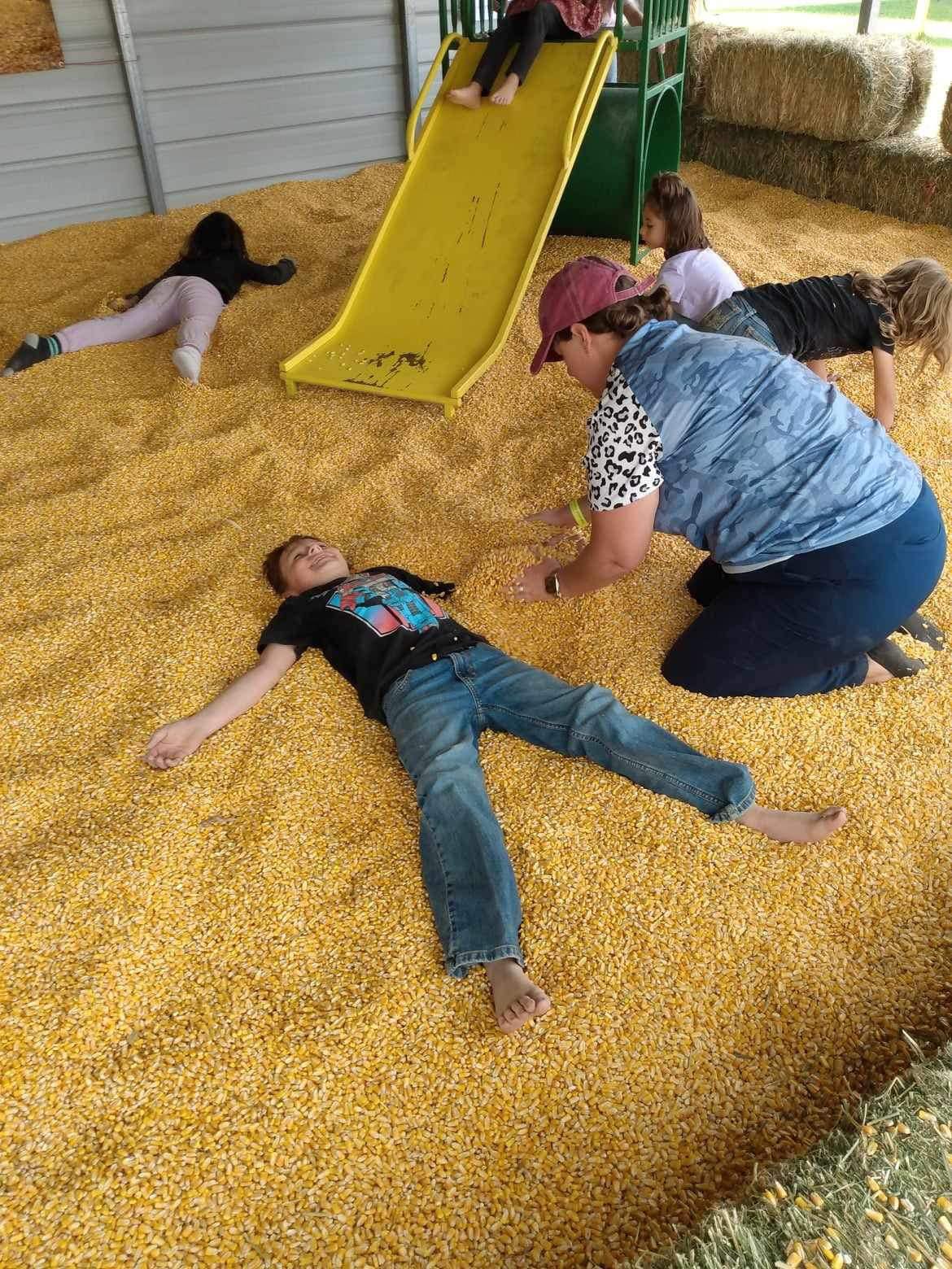 Farm Fun - Diana's Pumpkin Patch